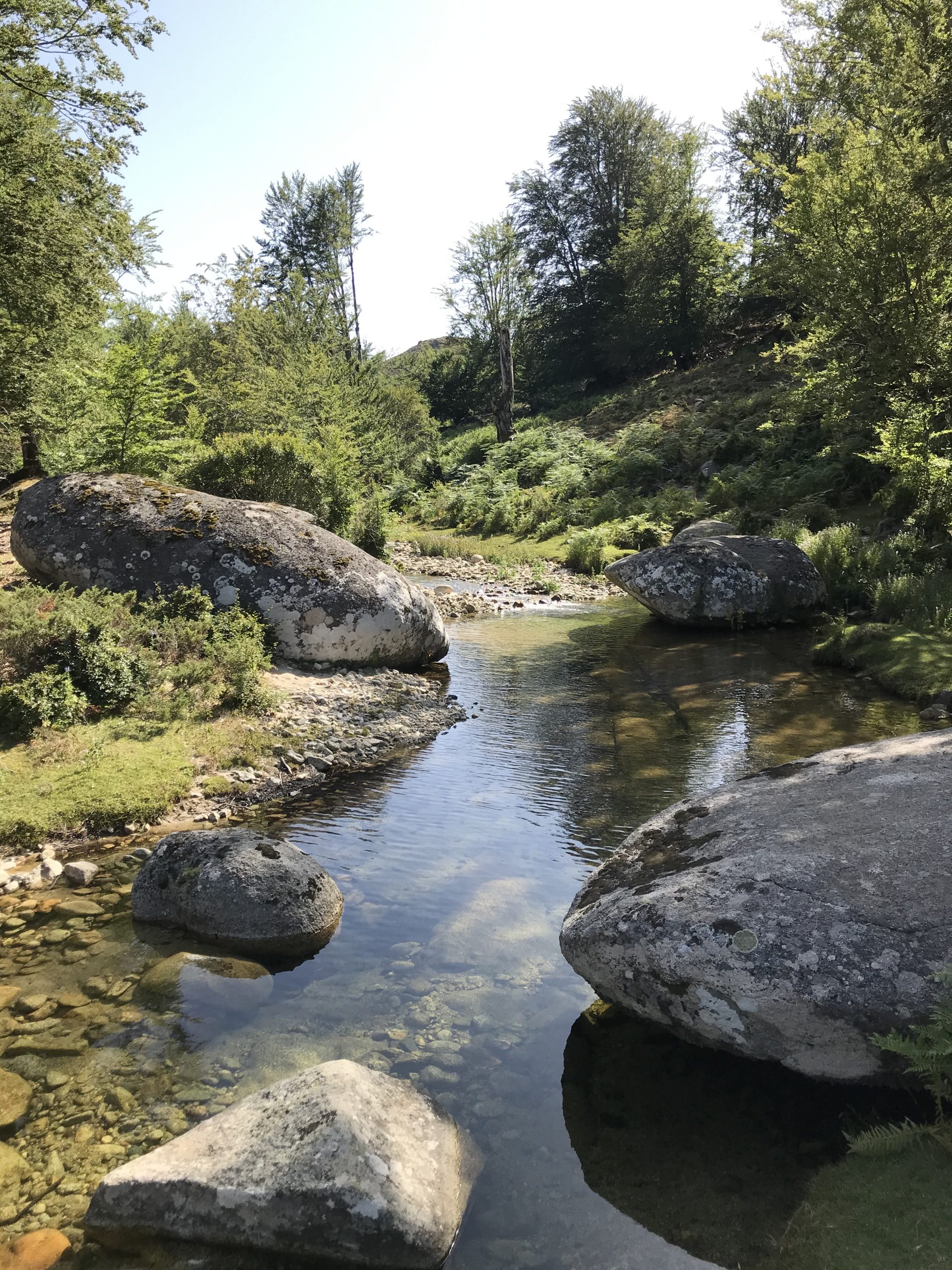 Piccolo ruscello sul GR20 – GR20 Blog